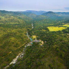 Didingwe River Lodge | A Riverside Paradise for all Nature Lovers